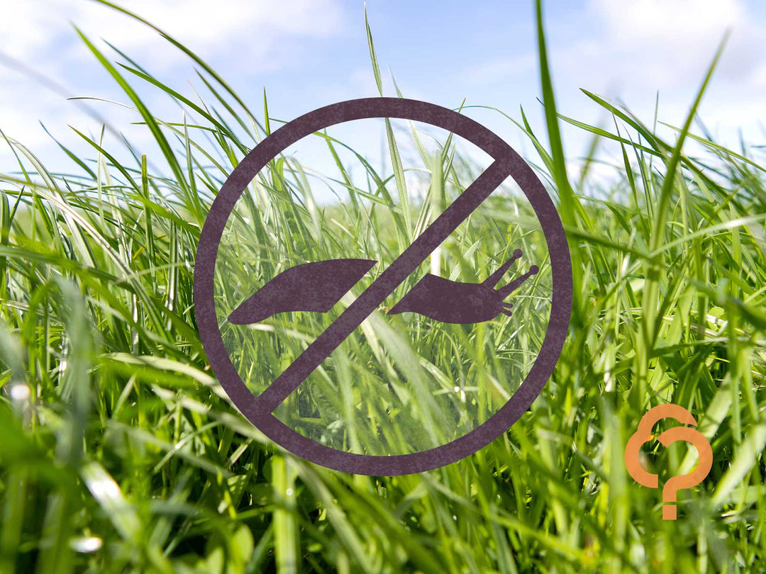 At a glance: Trace elements – Resupply