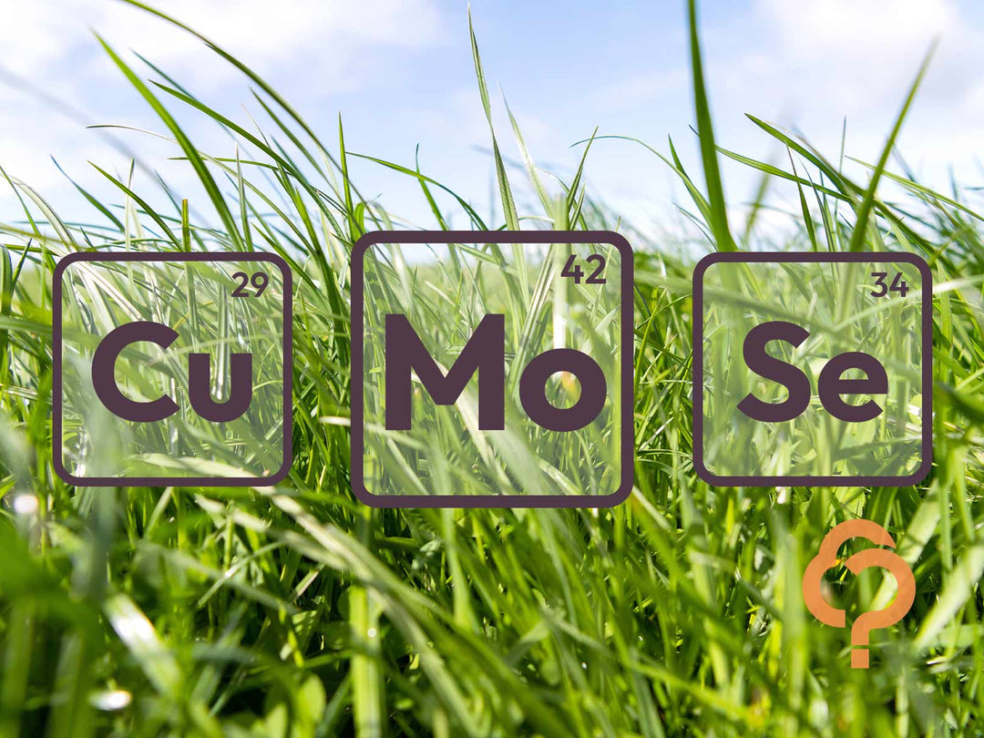 Cropmaster® 15 – Resupply